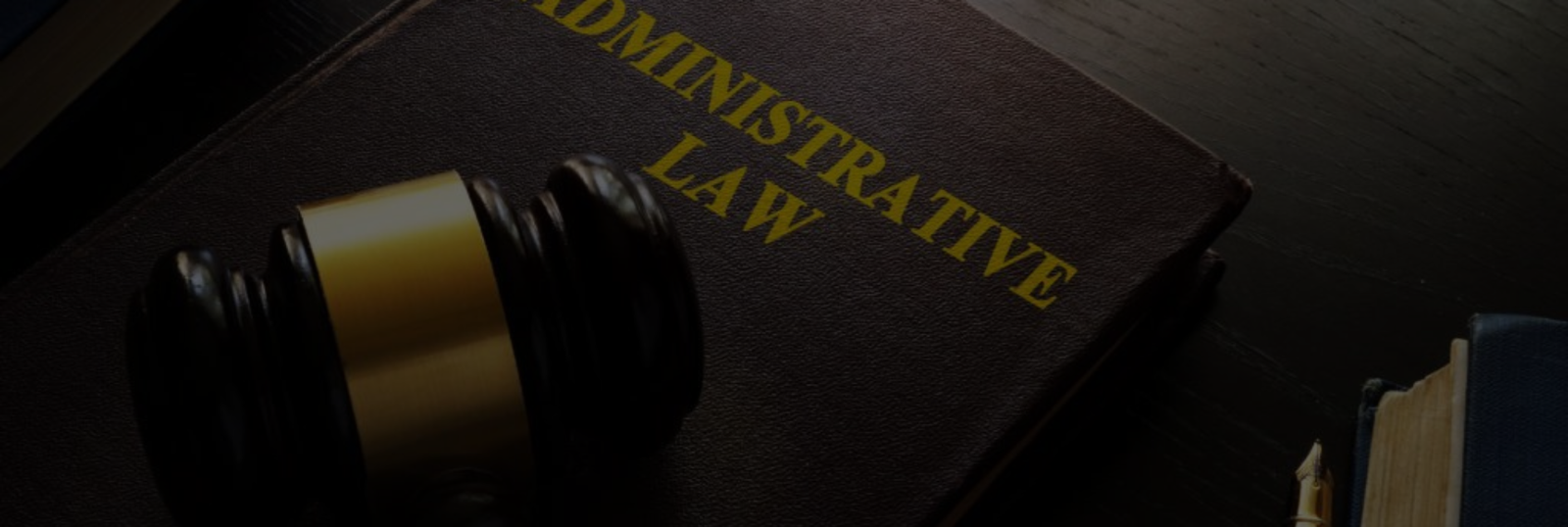 Errol Levy Consulting Services - Cayman islands