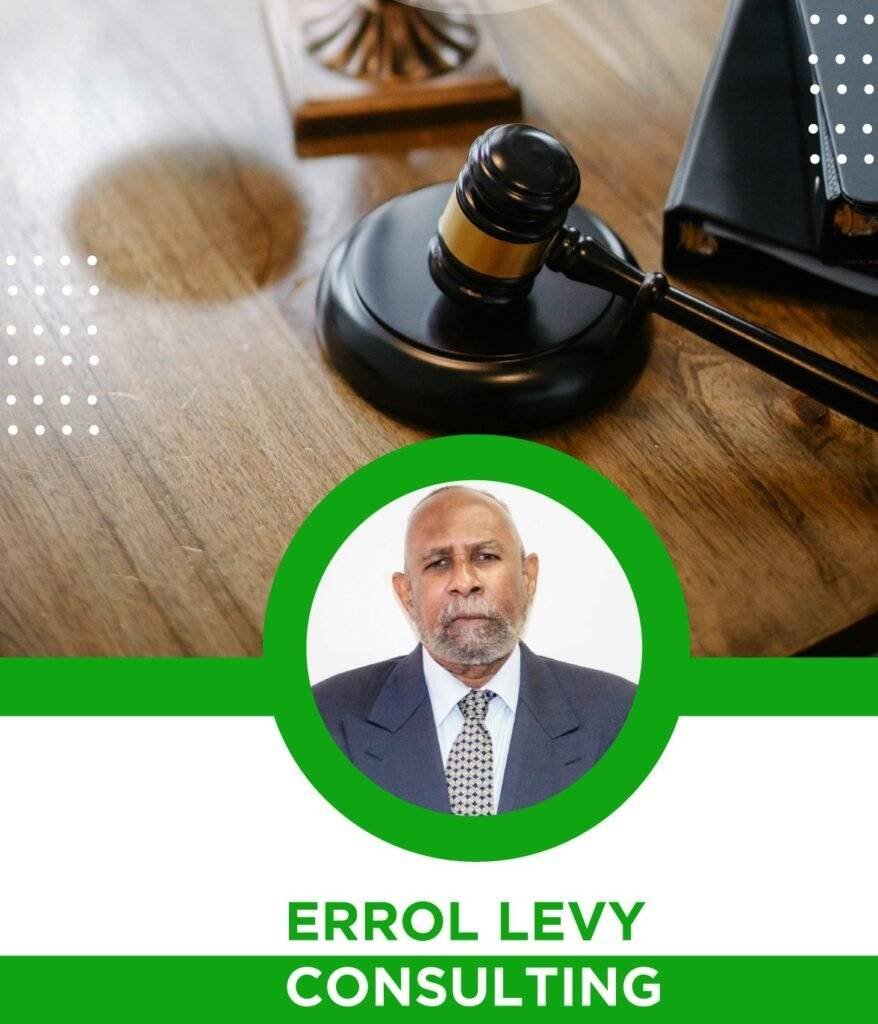 Errol Levy Consulting Services - Cayman islands